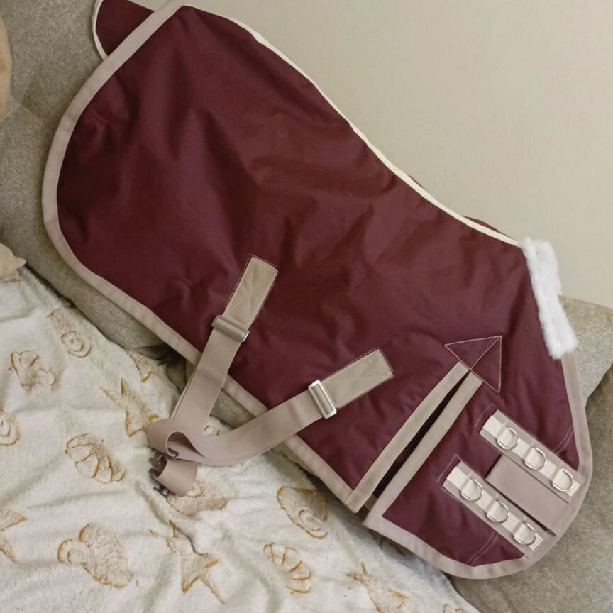 Попона зимняя для жеребёнка