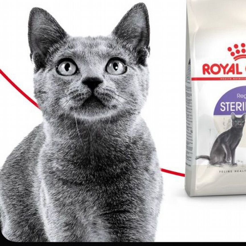 Корм для кошек royal canin