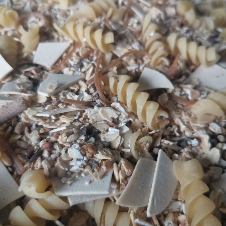 Корм для собак