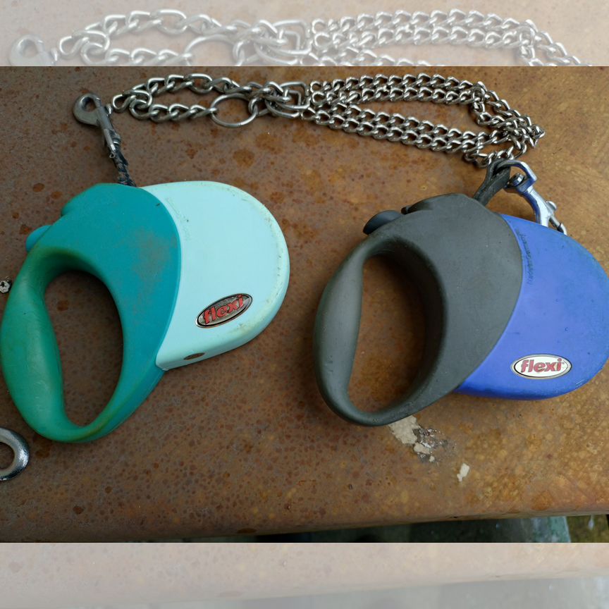 Поводки и миски для собак