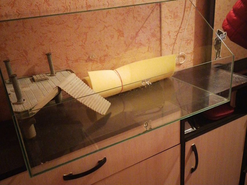 Террариум для красноухой черепахи