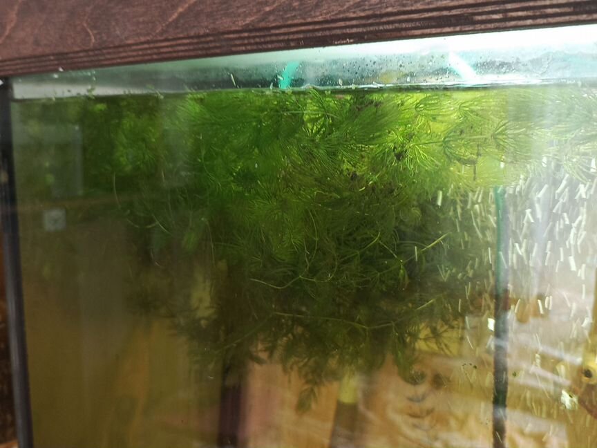 Украшение для аквариума