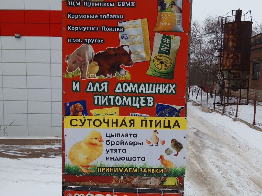 Корма для с/х животных и птицы