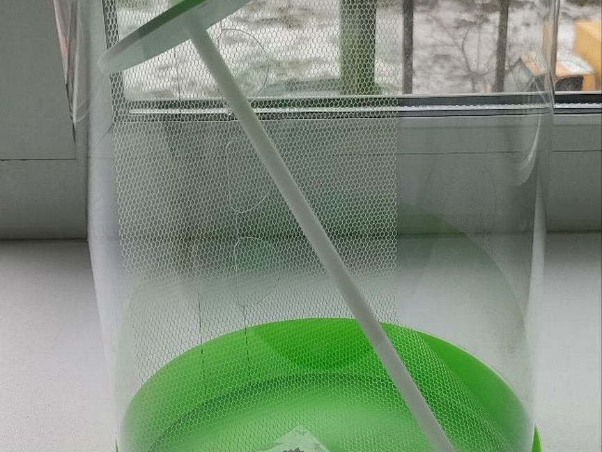 Бабочкарий для бабочек