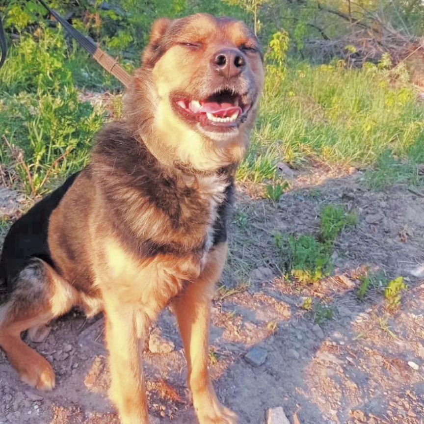 Ищем надёжные ручки