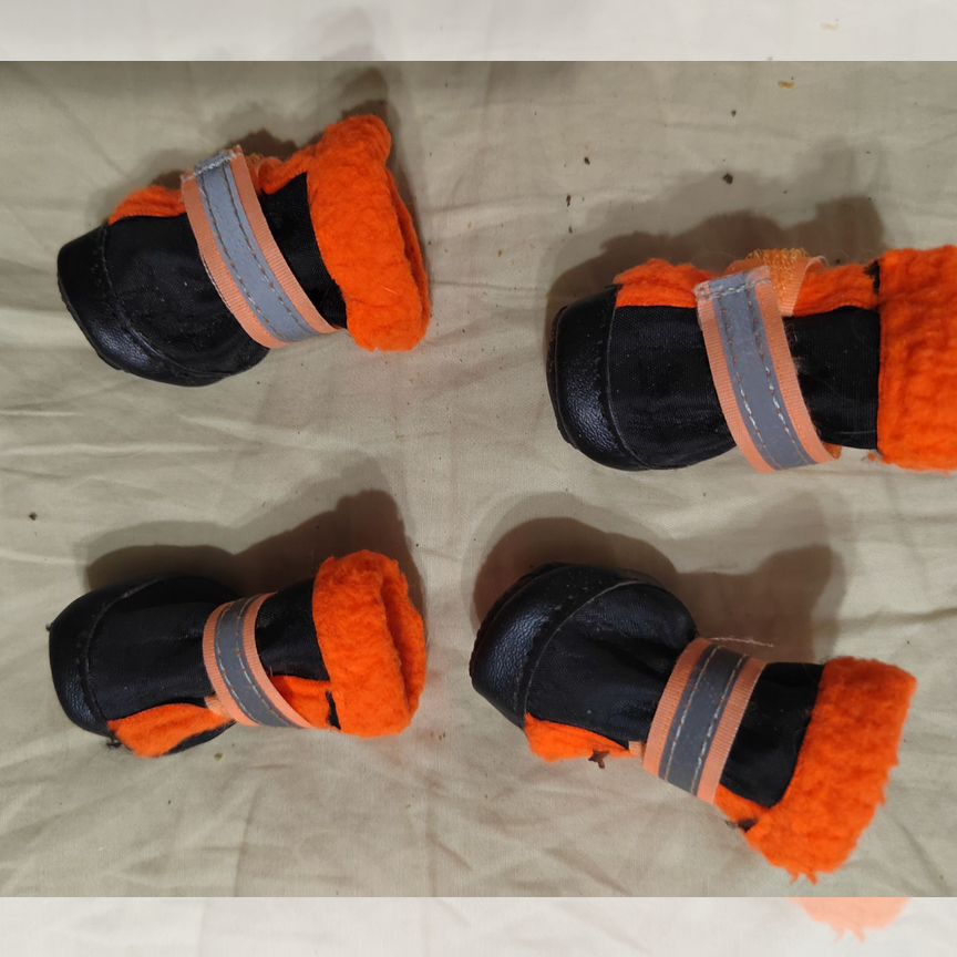 Продаю вещи для маленьких собак