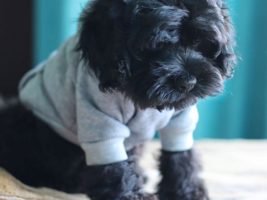 Супер малыш