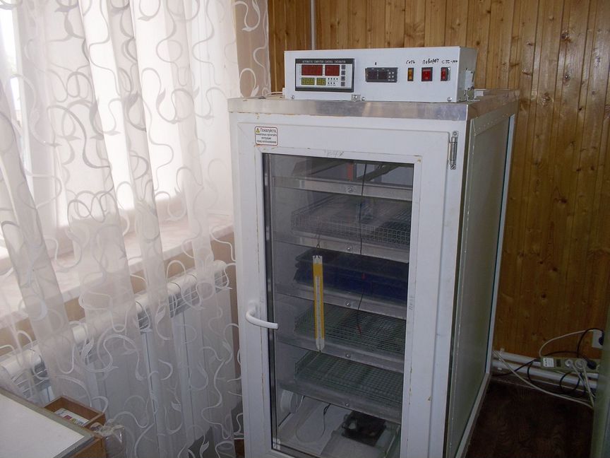 Инкубатор на 600 яиц