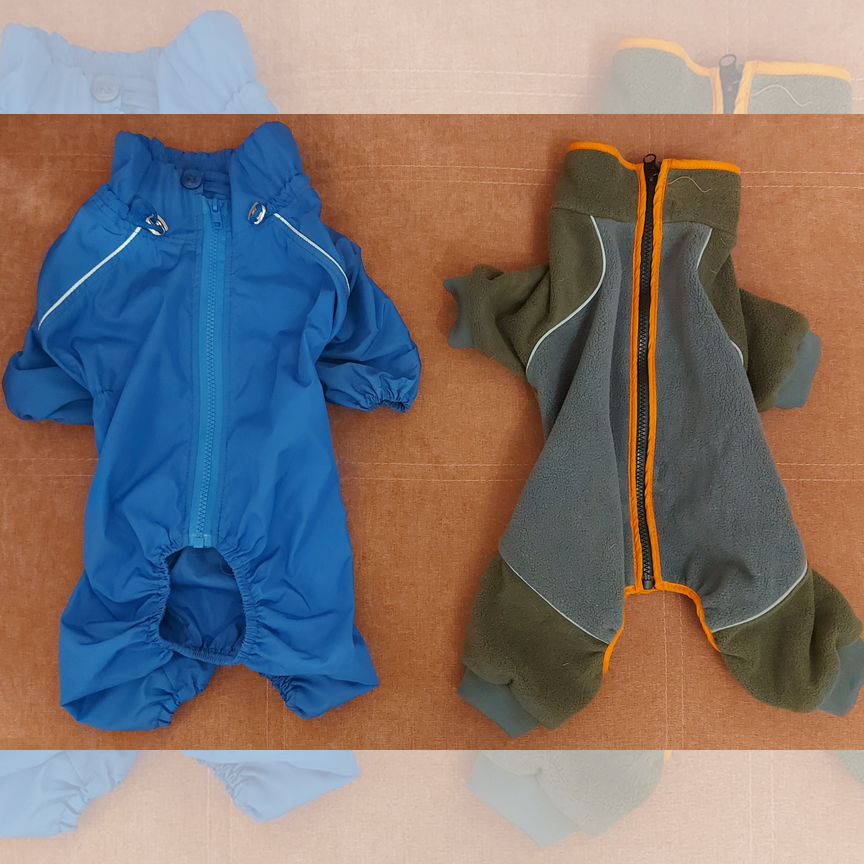 Одежда для собак