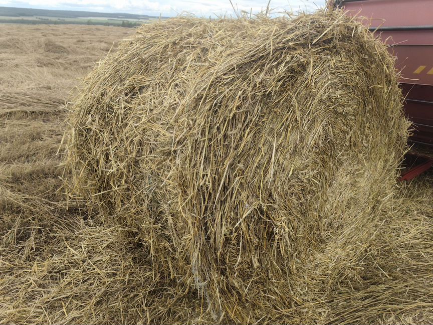 Солома в рулонах
