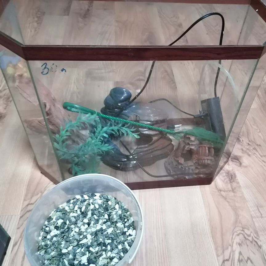 Аквариум для рыбок