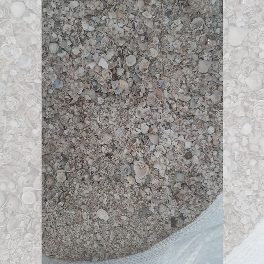 Ракушка для кур