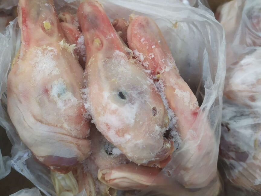 Утиные головы