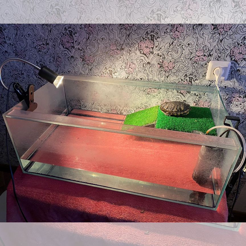Большой аквариум-черепашатник