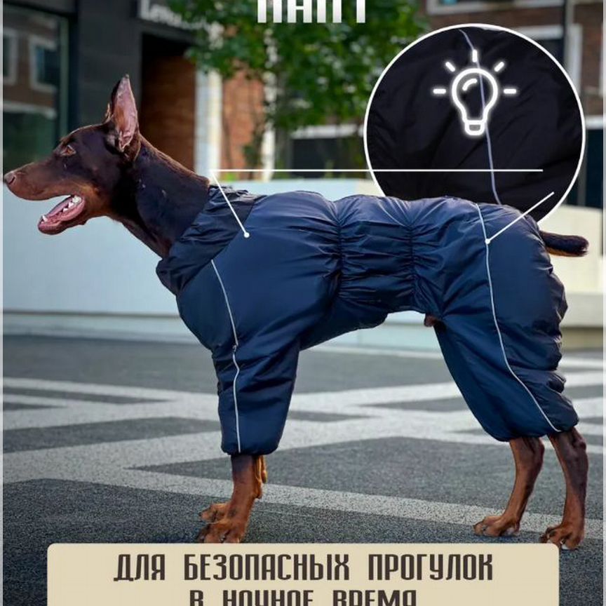 Одежда для собак