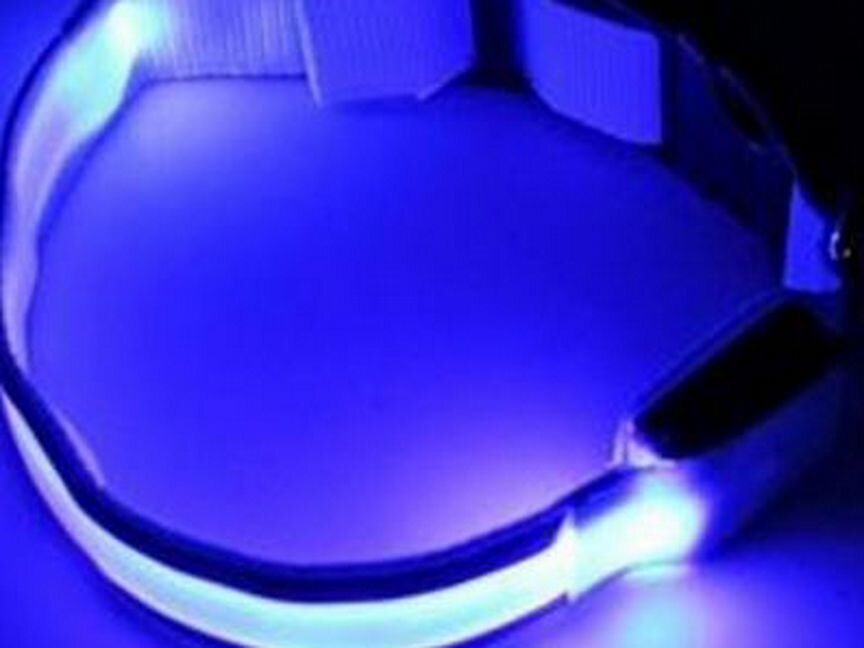 Светящийся ошейник для животных