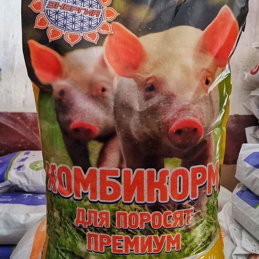 Комбикорм для поросят Старт пк-50-317 Energy