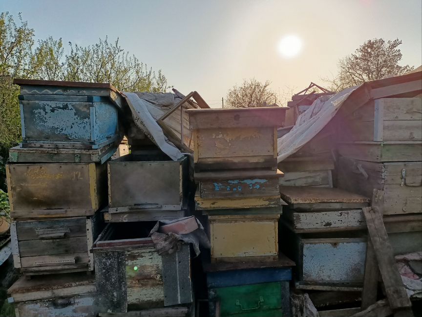 Улики для пчел