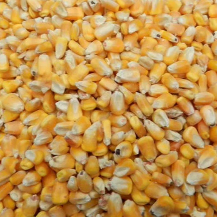 Кукуруза 25 кг
