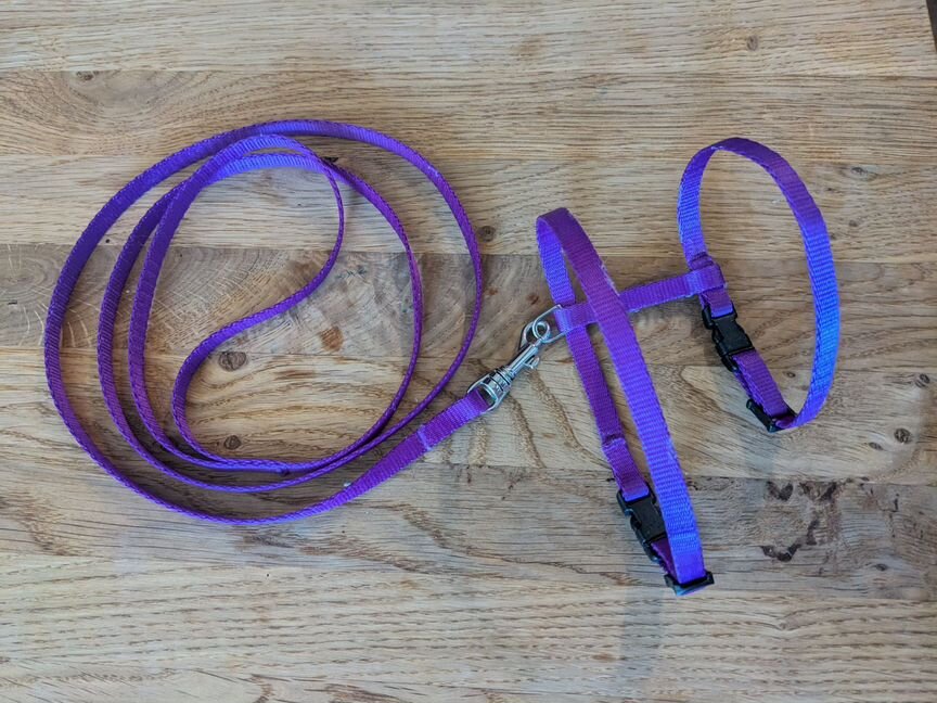 Шлейка для котят Trixie