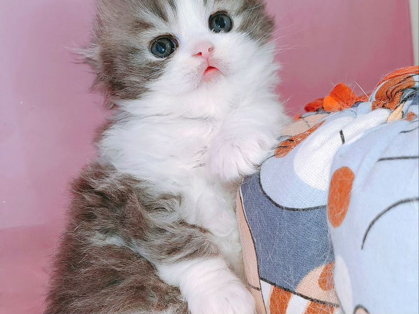 Очаровательный малыш