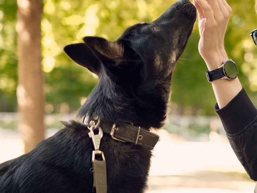 Тина из приюта