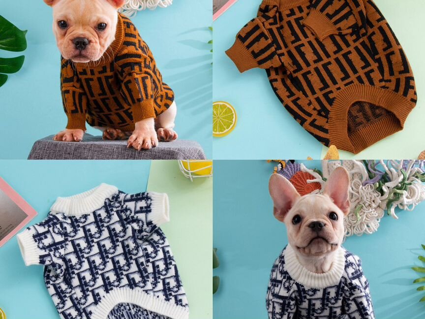 Одежда для собак