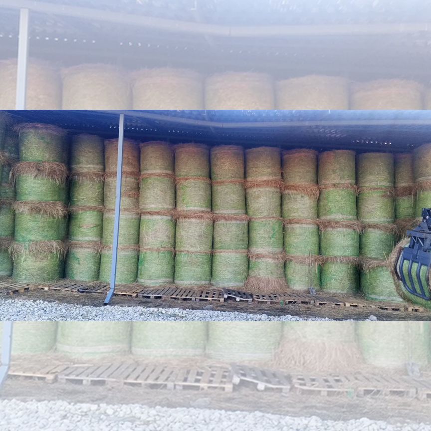 Сено в рулонах