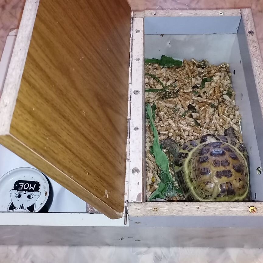 Домик для черепашки сухопутной