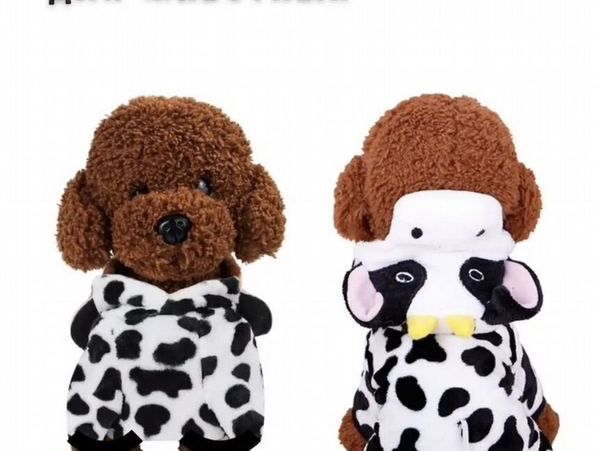 Костюм для щенка мелких пород