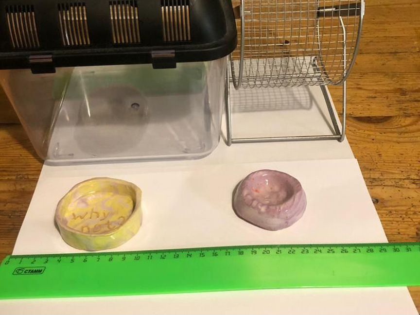 Террариум, колесо, кормушки