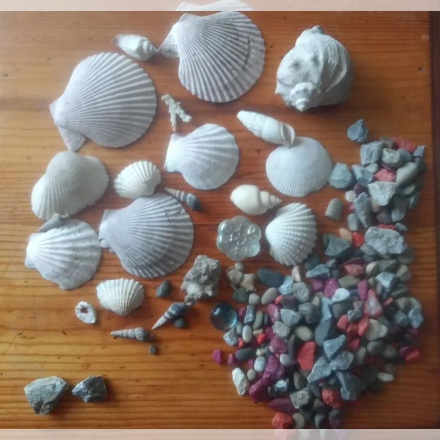 Ракушки и камушки из аквариума