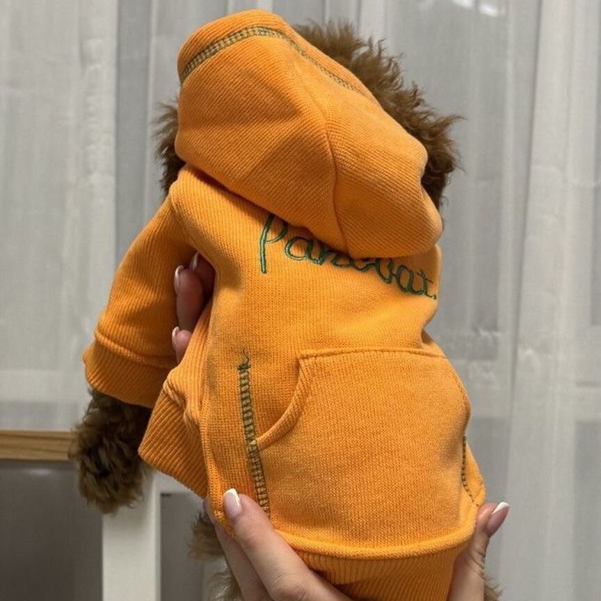 Толстовка для собаки