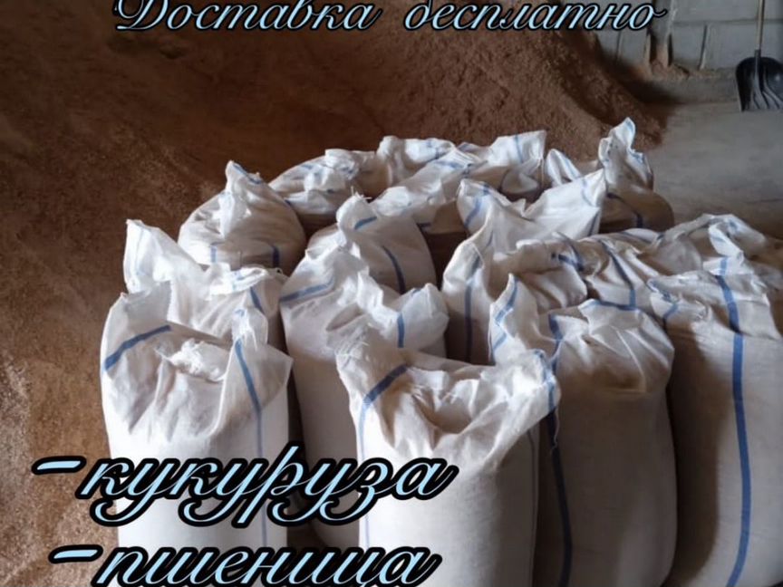 Корма для животных - кукуруза пшеница жмых отходы