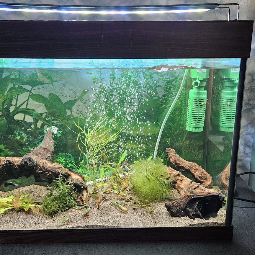 Аквариум 50 литров