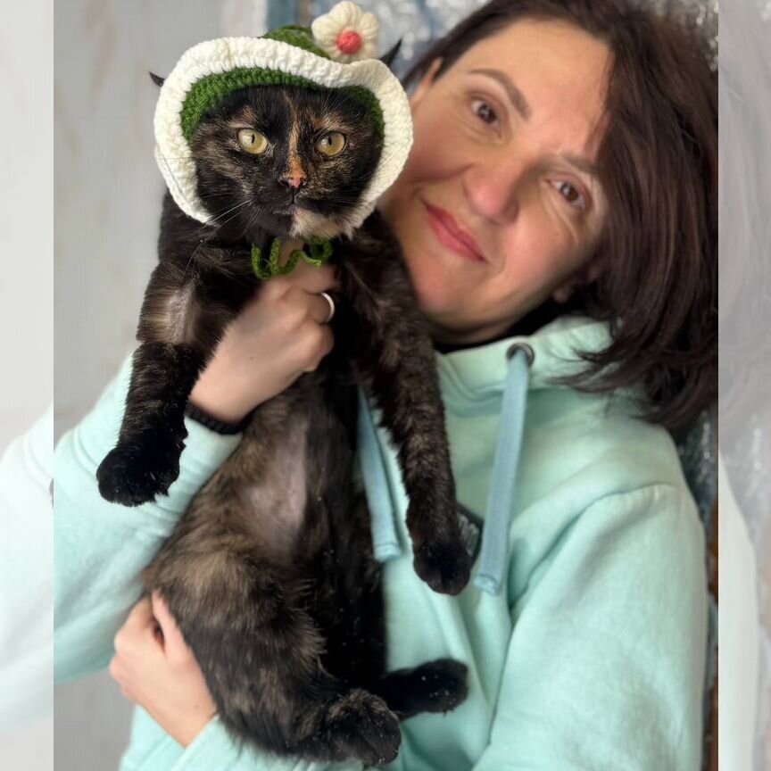 Взрослая, кошка в добрые руки