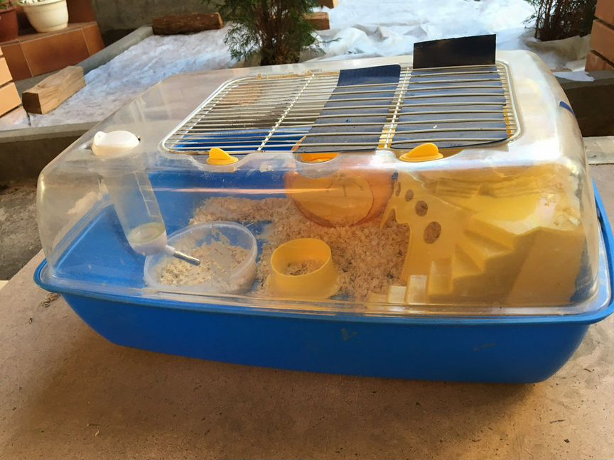 Клетка для грызунов бу