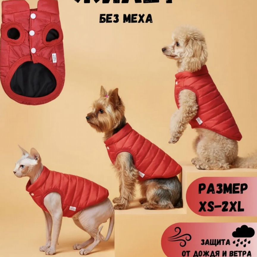 Одежда для собак мелких пород xs