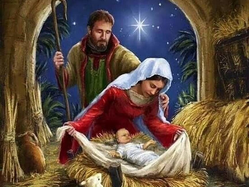 Продам почтовых голубей