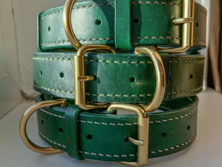 Ошейник для собак средних пород