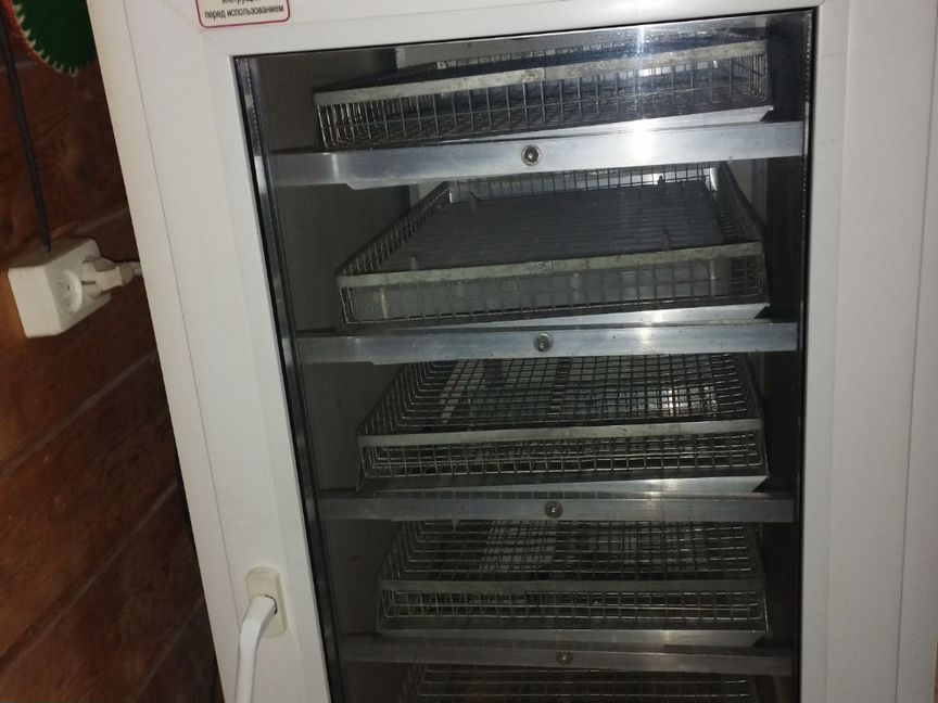 Инкубатор
