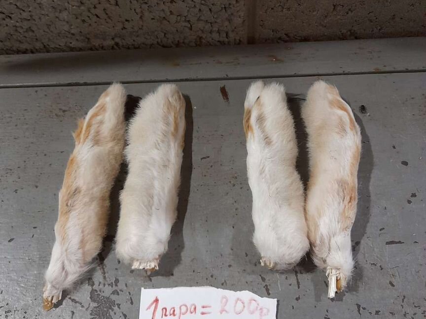 Игрушки для домашних животных