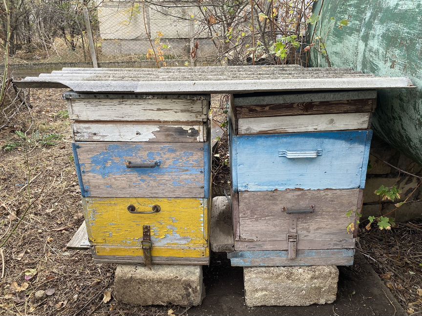 Улей для пчел