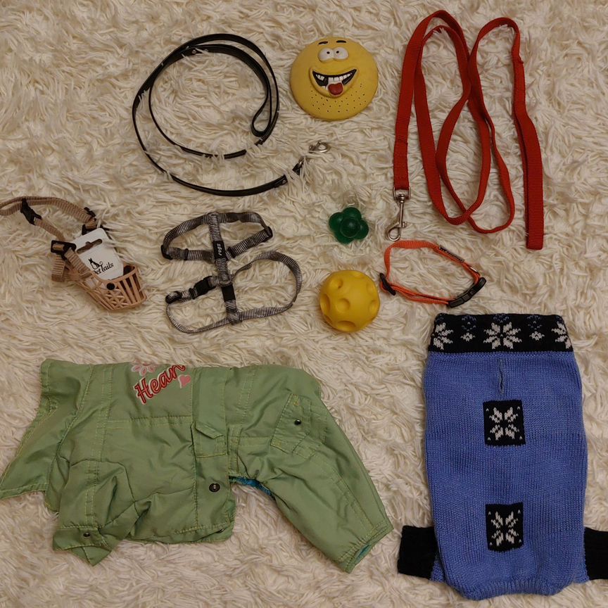 Для маленькой собачки. Цена за всё