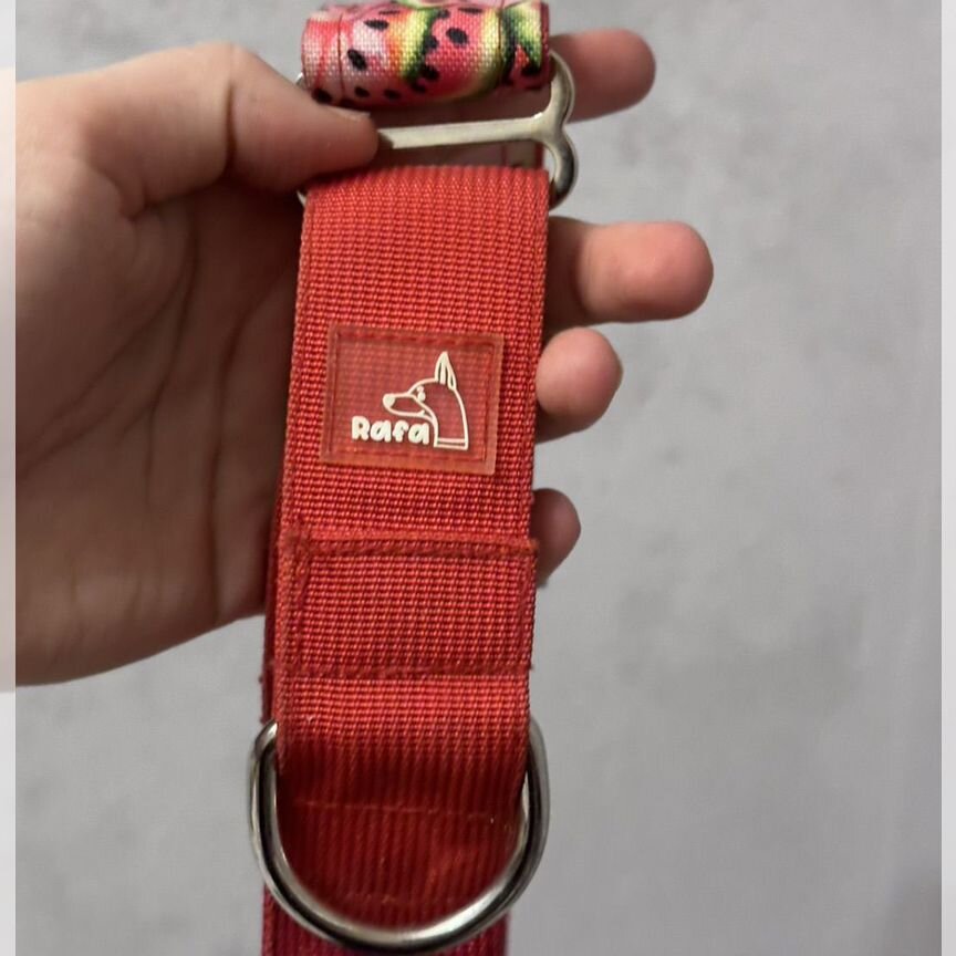 Ошейник мартингейл (полуудавка) широкий