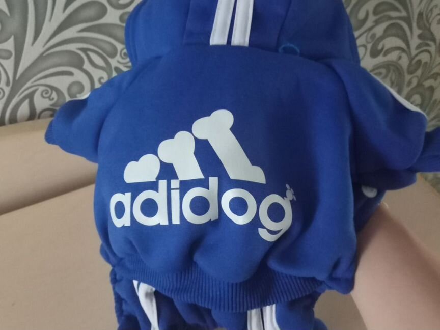 Костюм для маленькой собачки