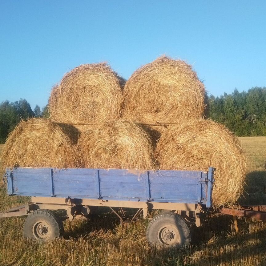 Солома большие рулоны