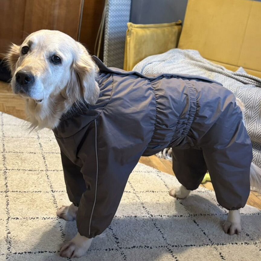 Комбинезон для собак средних крупных пород жен