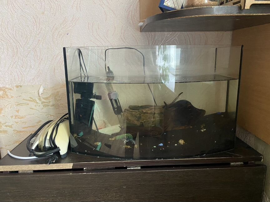 Аквариум