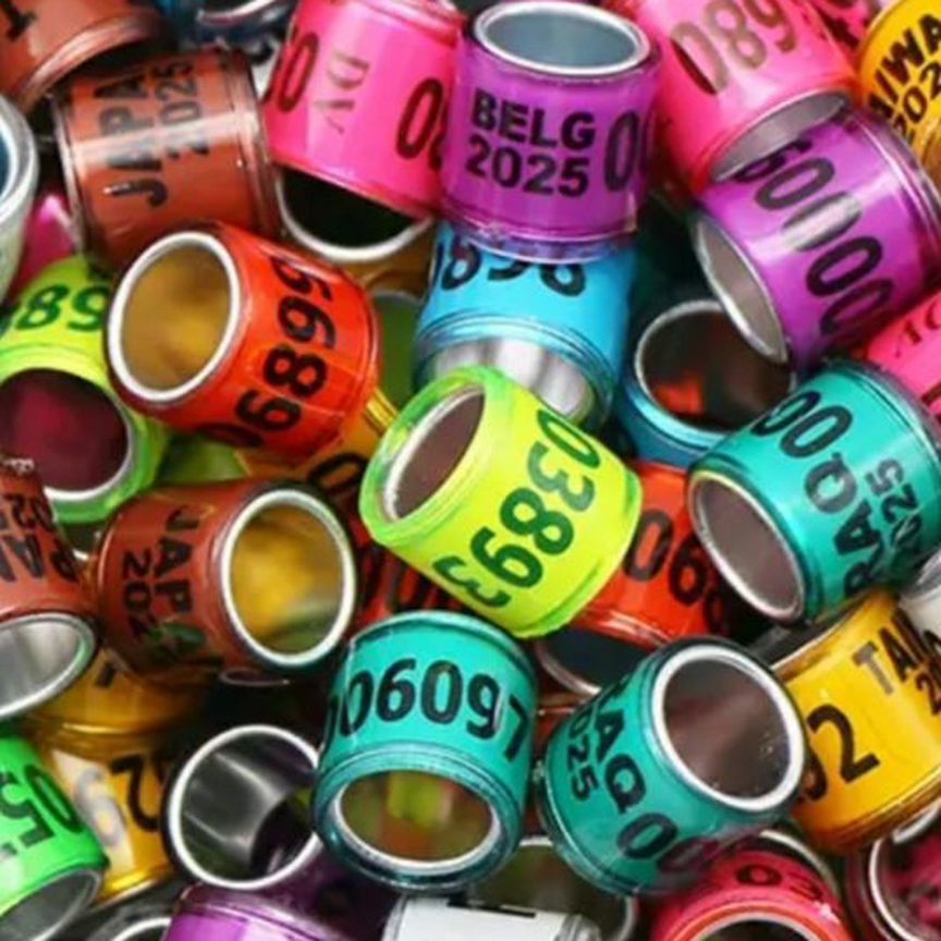 Кольца для голубей с нанесением вашей информации